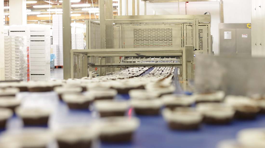 KOMA | Stories | Alysse Food producer of muffins bagels and brownies